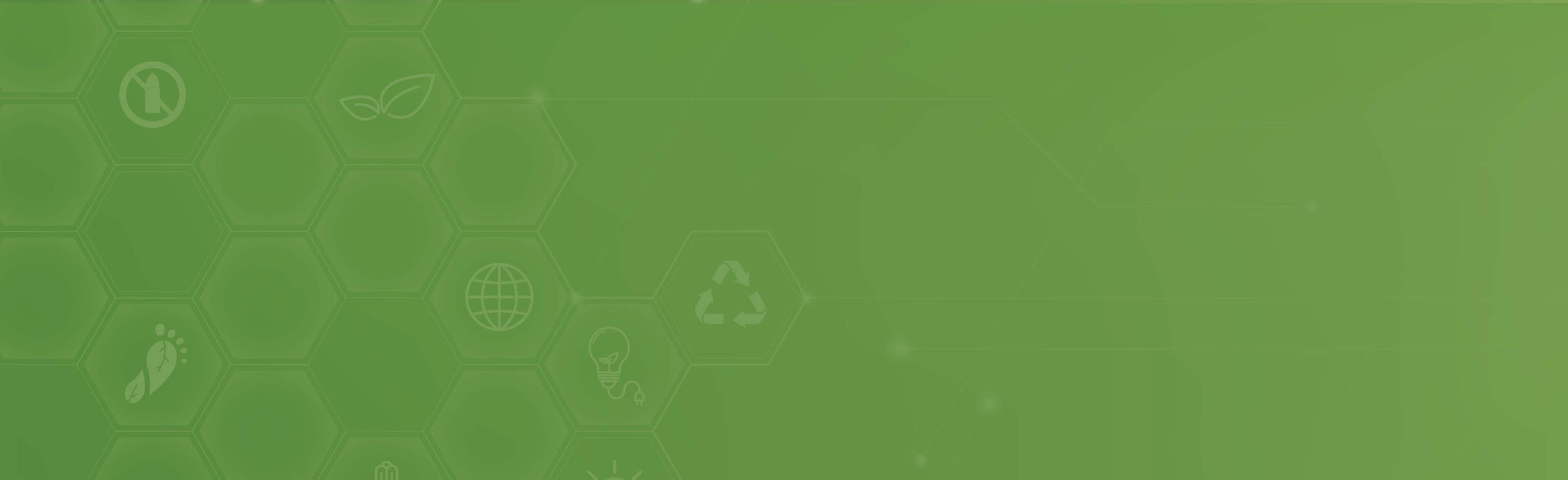 Environmentally-Conscious Solutions| MILO